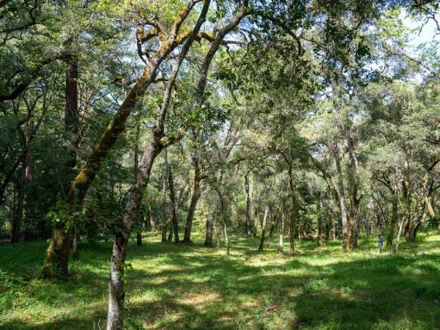 35000 Robinson Canyon Rd, Carmel Valley, CA 93923