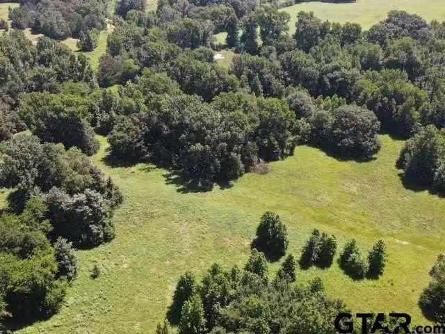3500 County Road 4930, Quitman, TX 75783