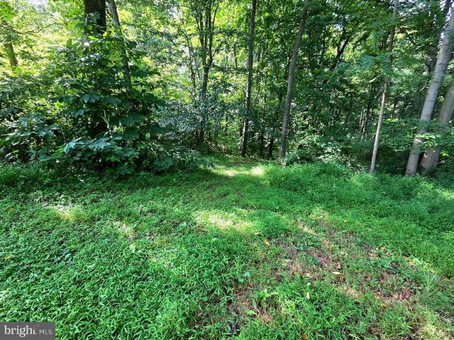 3500 Hawks Hill Road # LOT 2