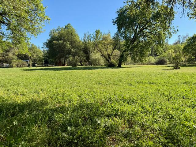 3500 Indian Creek Rd, Placerville, CA 95667 | MLS #226042 | Compass