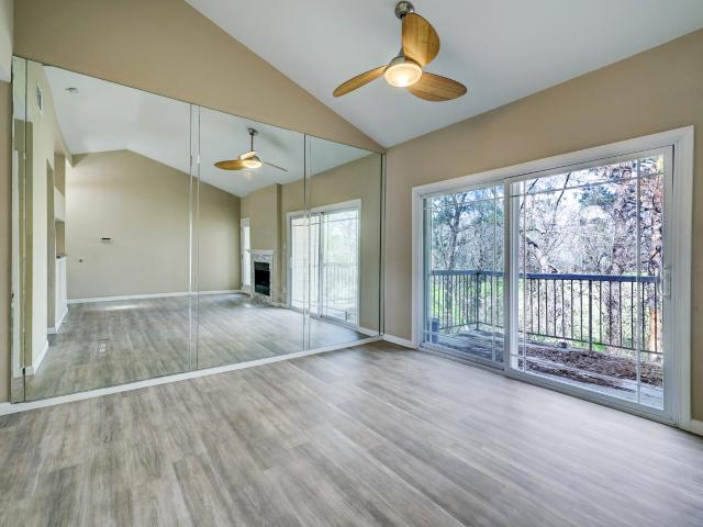 3500 Tangle Brush Drive 119