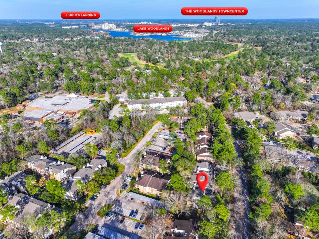 3500 Tangle Brush Drive 182