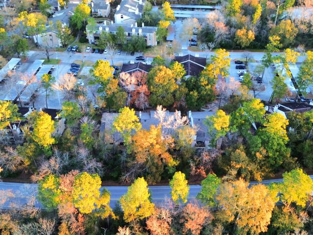 3500 Tangle Brush Drive 186