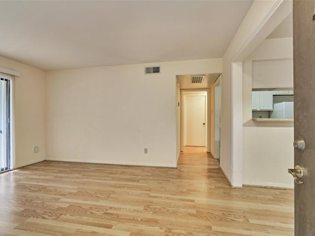 3500 Tangle Brush Drive 25