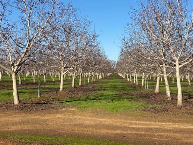 3501 Manzanita Rd, Lincoln, CA 95648