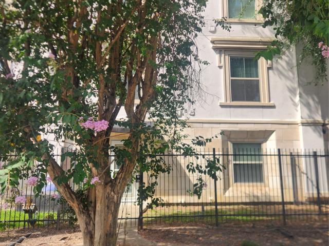 3501 Chenevert Street 2