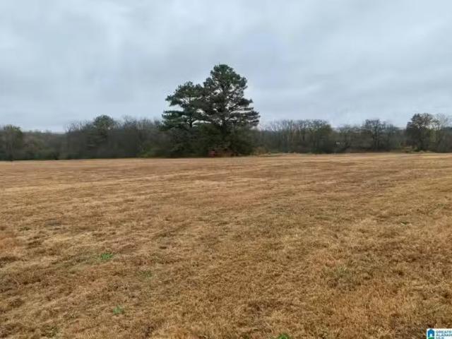 3501 CLEBURN AVE SW # 2 B, BIRMINGHAM, AL 35221 Vacant Land Fo.