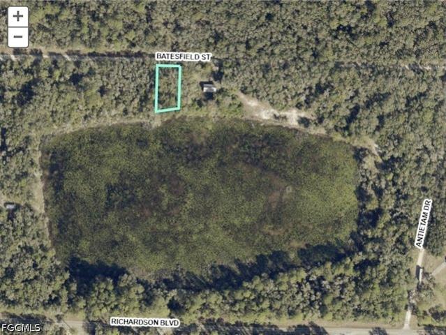 35034 Batesfield St, Webster, FL 33597