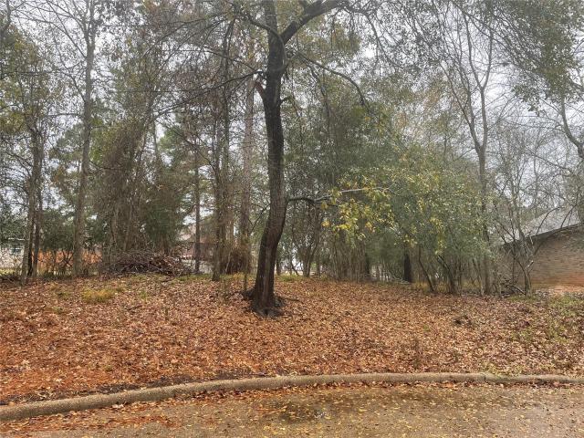 3503 Woodland Ln, Montgomery, TX 77356 | MLS #27024 | Compass