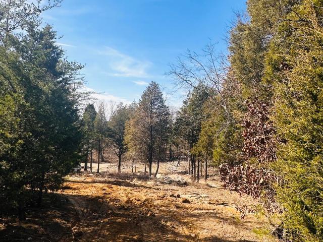 350 Cave Creek Rd