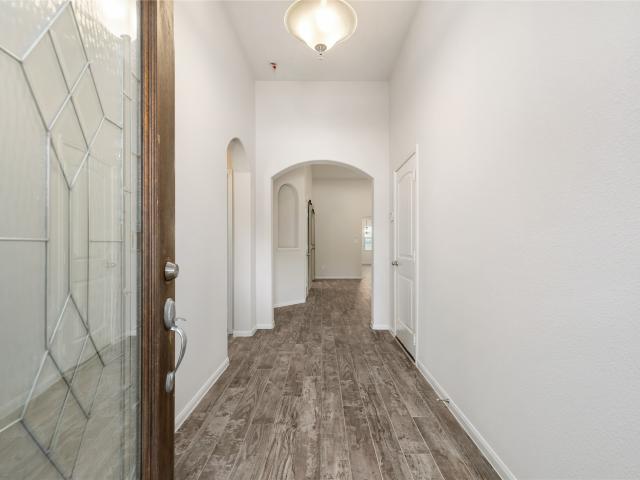 350 American Black Bear Drive
