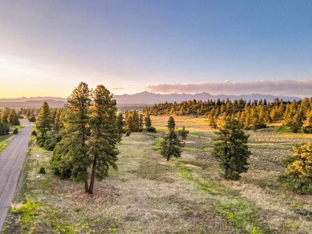 350 Bristlecone Dr, Pagosa Springs, CO 81147