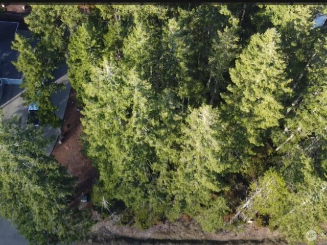 350 E Vine Maple Ln, Union, WA 98592 | MLS #2480 | Compass
