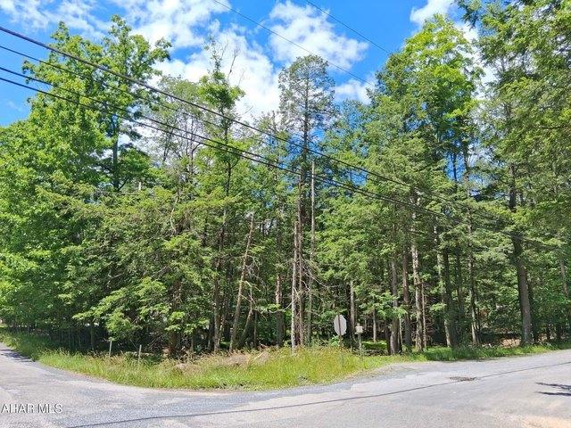 350 Kibler Lake Rd, Flinton, PA 16640