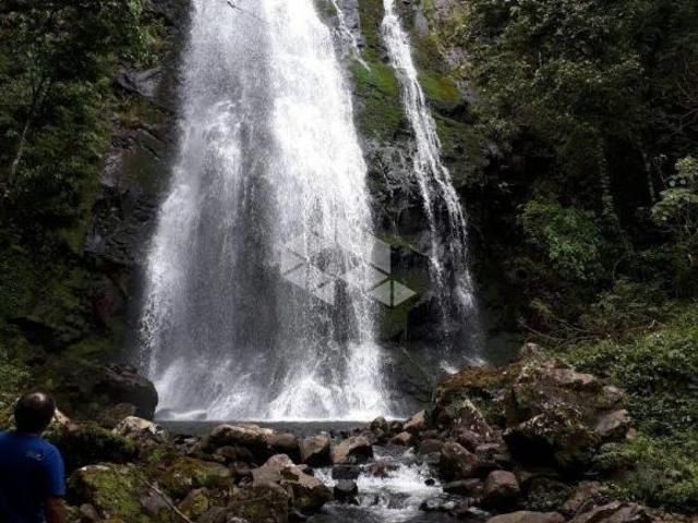 350 ha de campos e matos na Roça Nova, São Francisco de Paula