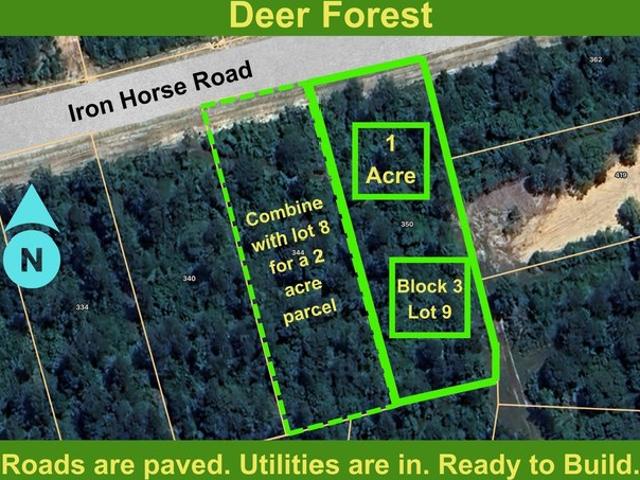 350 Iron Horse Rd, Willis, TX 77378
