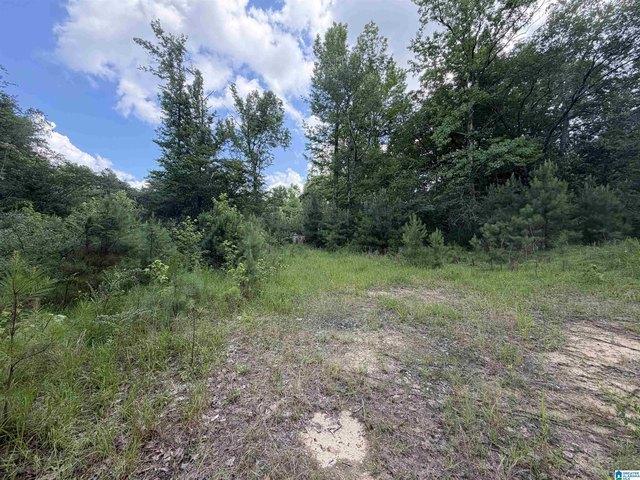 350 Oscar Bradford Rd Lot 1, Warrior, AL 35180