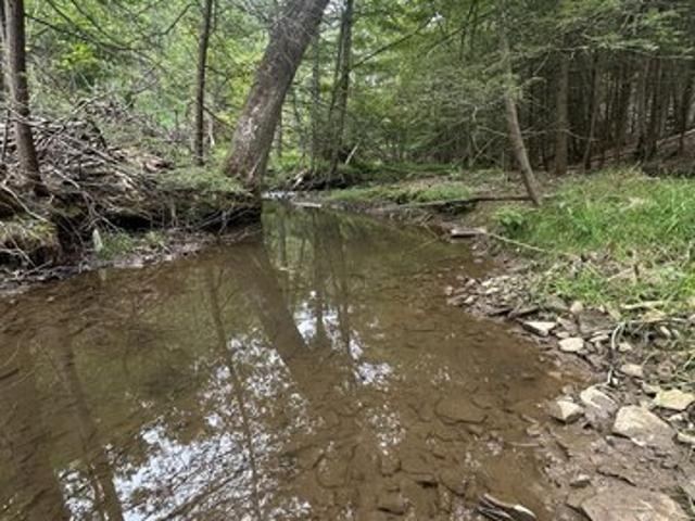 350 Sanford Boggs Dr, Marlinton, WV 24954