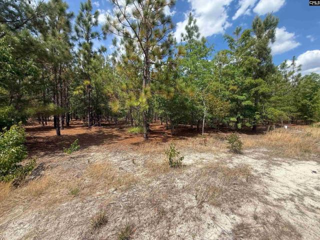 350 Payne Pond Road Lot PPF 11