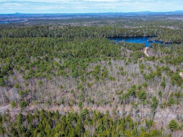 350 Punkinville Rd, Sullivan, ME 04664