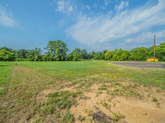 350 Quail St, Van, TX 75790 | MLS #21190