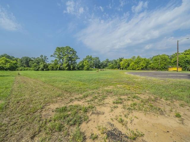 350 Quail St, Van, TX 75790