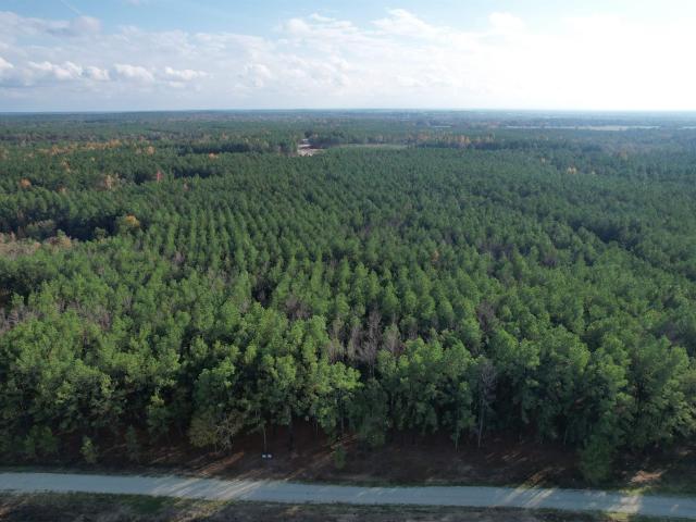 350 Williamson Way, Lovelady, TX 75851 | MLS #25003