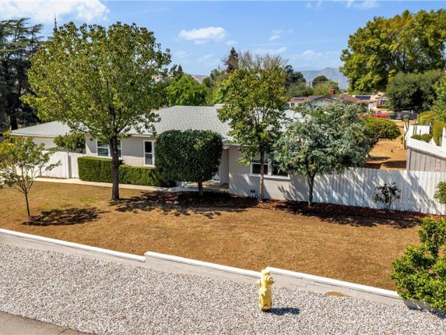 35158 Cedarwood