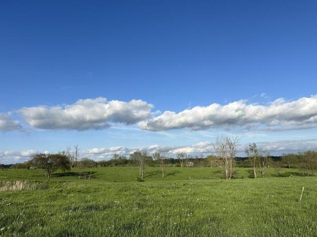 3517 Cynthiana Road, Georgetown, KY 40324