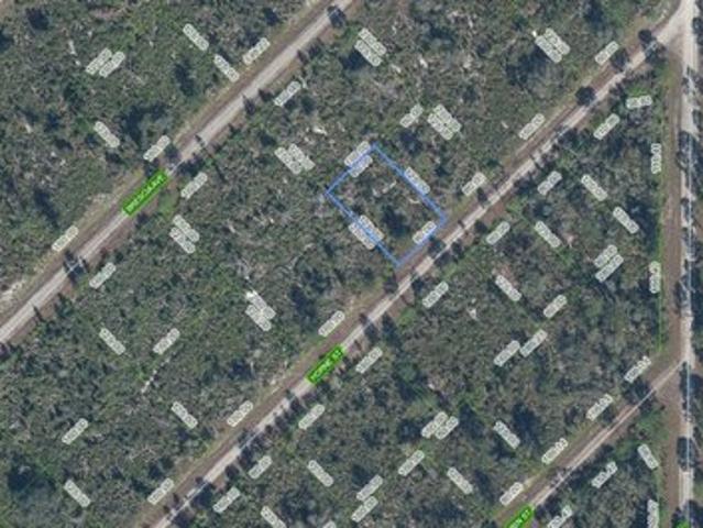 3517 Horne St, Lake Placid, FL 33852