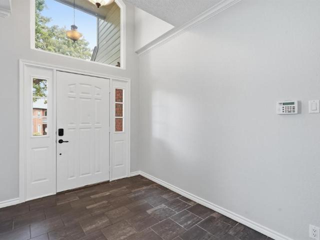 3517 Paint Brush Lane