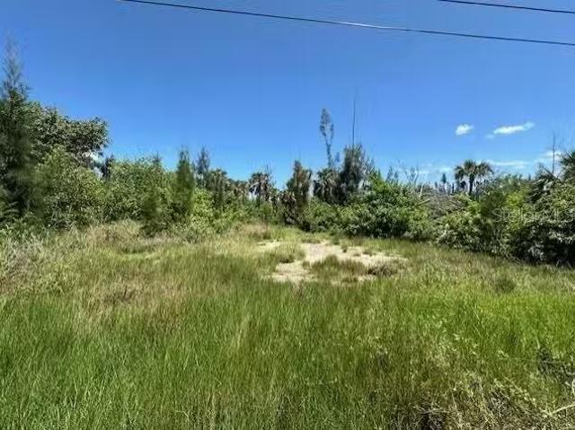 3518 Papaya St, Saint James City, FL 33956 MLS C7483277