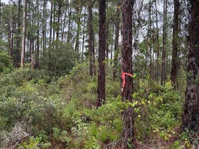 3518 62nd St W, Lehigh Acres, FL 33971