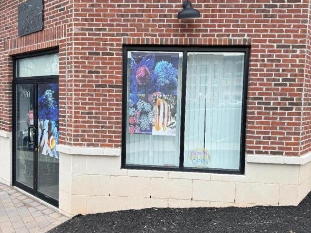351 Clay Ave W