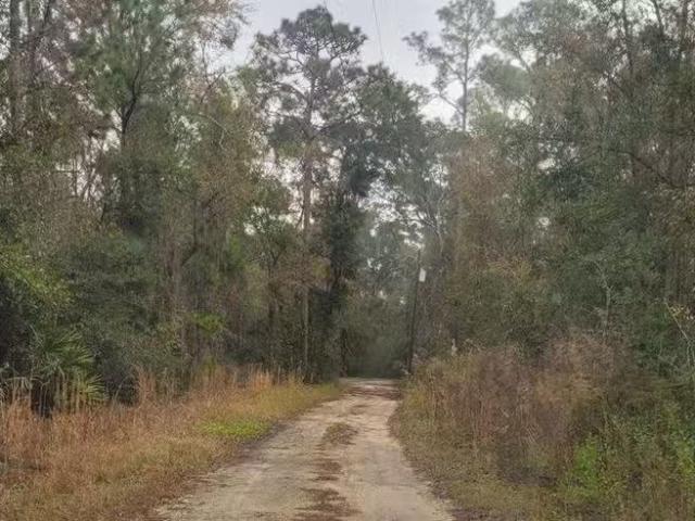 351 Dustin Collins Road, Brunswick, GA 31525 650545492