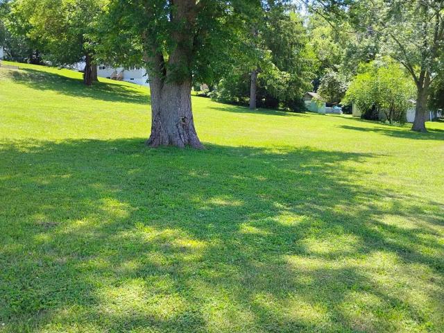 351 S Ave D, Canton, IL 61520 | MLS #PA1259