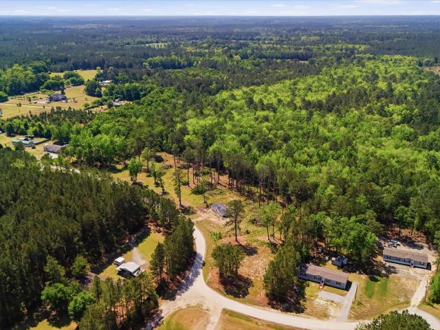 351 Sassafras Court