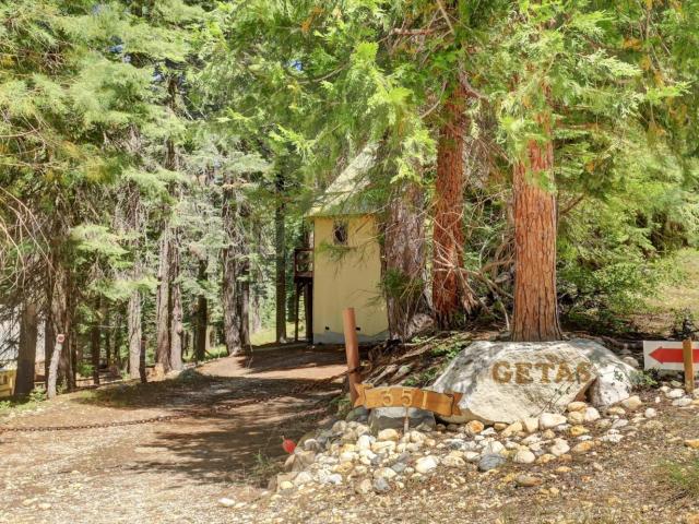 351 Silver Tip Springs Rd, Strawberry Valley, CA 95981 | MLS #225097