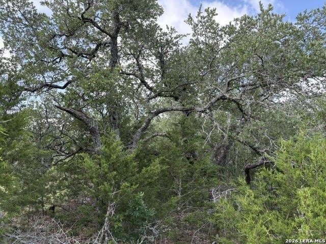 351 Ridge Pt Lot 2154, Spring Branch, TX 78070