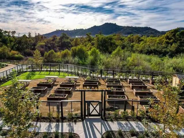 35250 Blossom Pl Townhomes in Fallbrook, CA