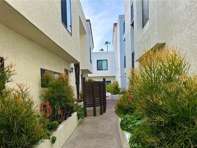 3525 Lebon Drive 204