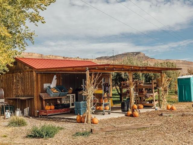 3526 Front St, Palisade, CO 81526