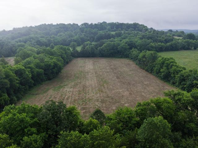 3526 Williamsport Pike