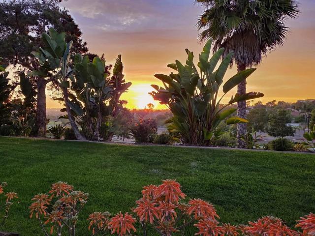 3520 Sitio Baya, Carlsbad, CA 92009 | MLS #260009