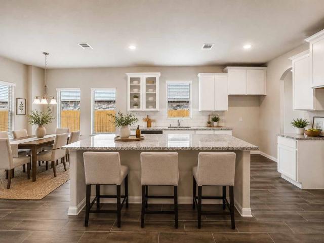 3522 Windmill Palm