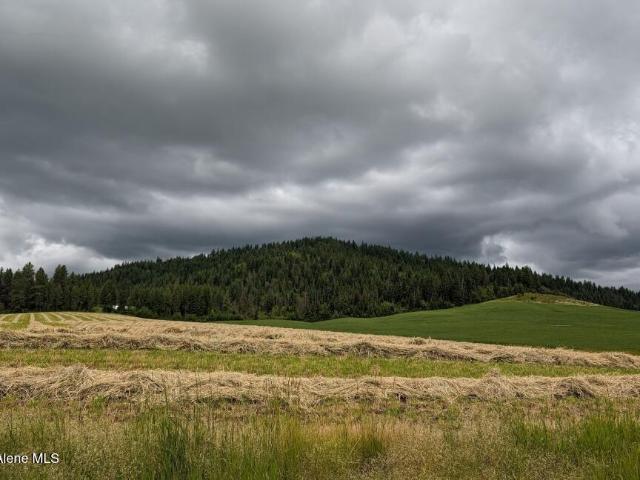 352 Camarillo Ln, Plummer, ID 83851 | MLS #25 9464