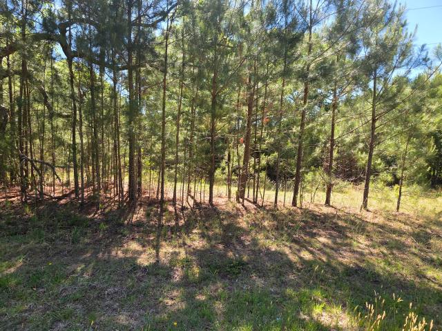 352 Laurel Mill Road