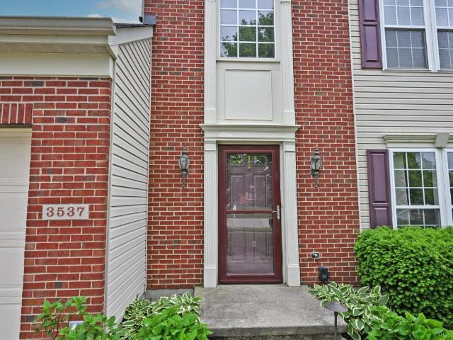 3537 Mourning Dove