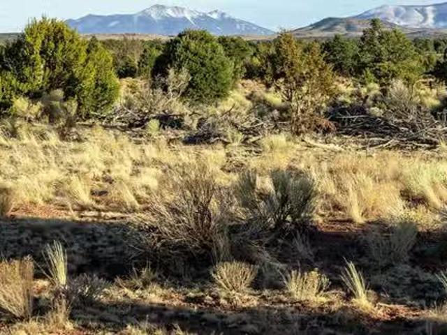 3538 S Laguna Dr #12, Williams, AZ 86046 MLS 6728682