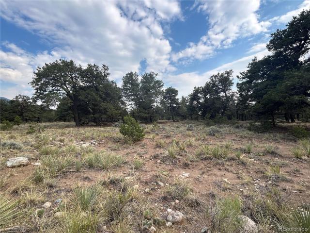 3530 Camino Del Rey
